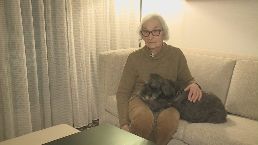 Wisdom Of A Southern California Grandmother, 90, Goes Viral Amid Eaton ...