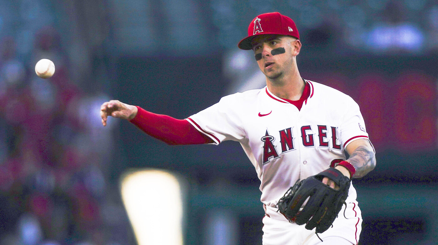 Answering The Key Questions Of Angels Spring Training - Car Insurance Quote