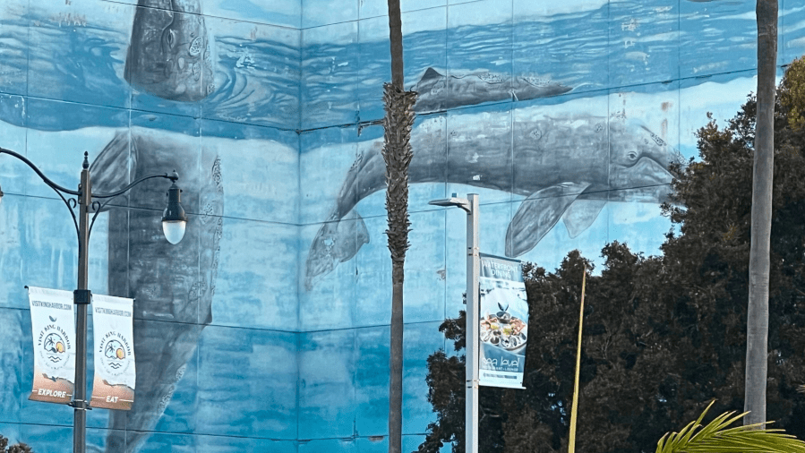 Fate Of One Of California's Largest Murals Is Uncertain - Car Insurance ...
